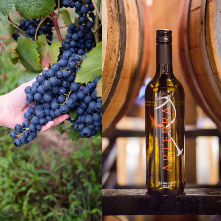 Arterra Wines: Quality wine, gifts, and experiences in northern Virginia.